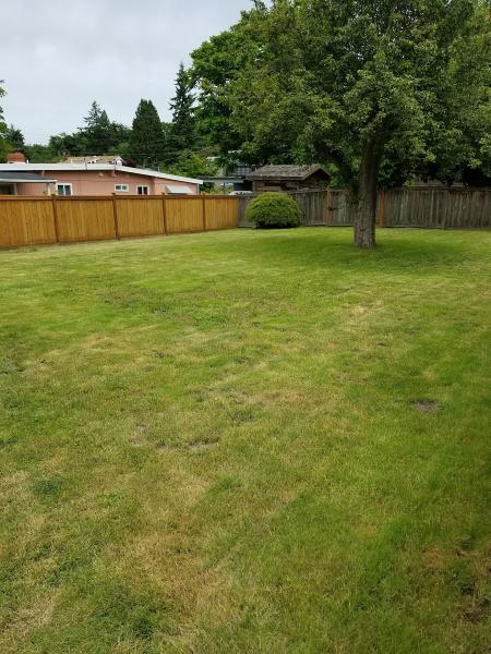Lawn Care Services Near Me - Find Local Lawn Maintenance & Mowing ...