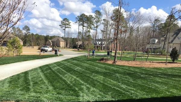 Residential Landscaping Services | Find Local Landscaping Company Near ...